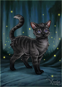 Vignette's Profile | Xanje