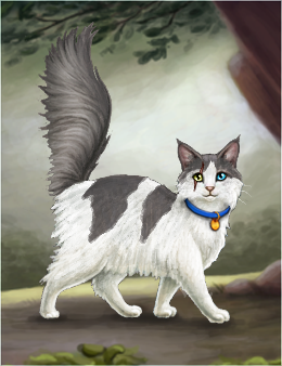 Savustamo's Profile | Xanje