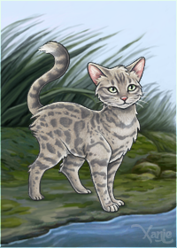 Nostalgic's Profile | Xanje