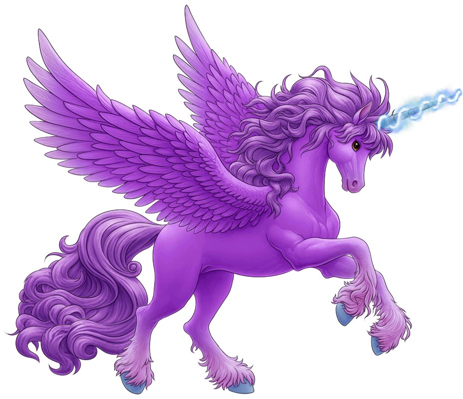 Accessory Log | Xanje