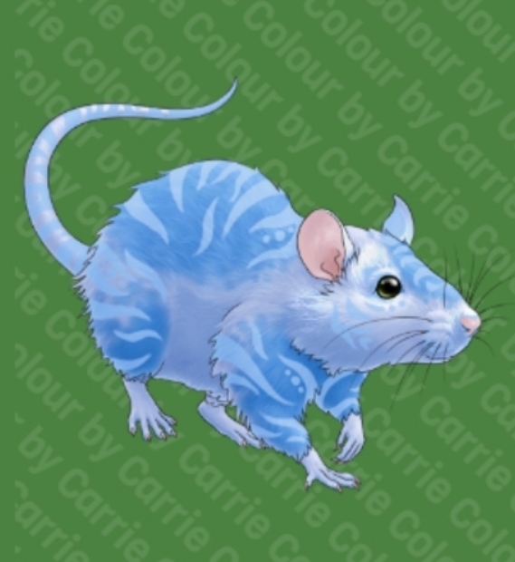 Blue Tiger Rats? | Xanje